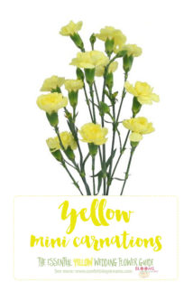 Names and Types of Yellow Wedding Flowers with Pics + Flower Tips