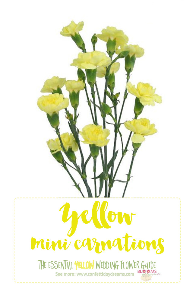 Names and Types of Yellow Wedding Flowers with Pics + Flower Tips