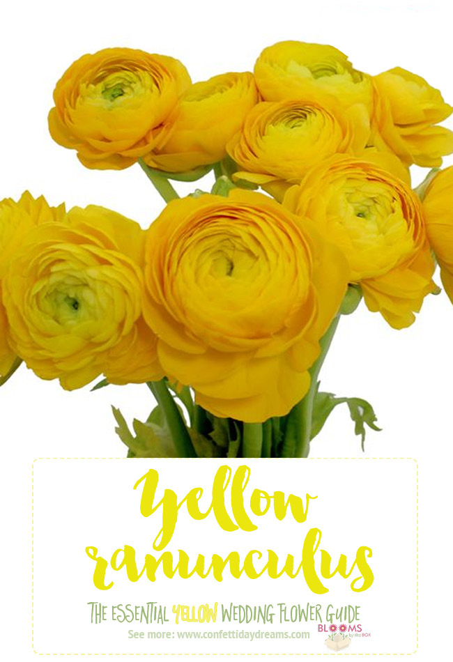Names and Types of Yellow Wedding Flowers with Pics + Flower Tips