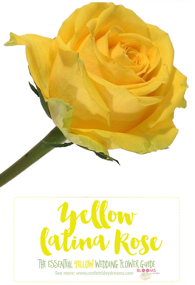 Names and Types of Yellow Wedding Flowers with Pics + Flower Tips