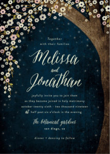 16+ Starry Night Celestial Wedding Invitations To Light Up Your Life