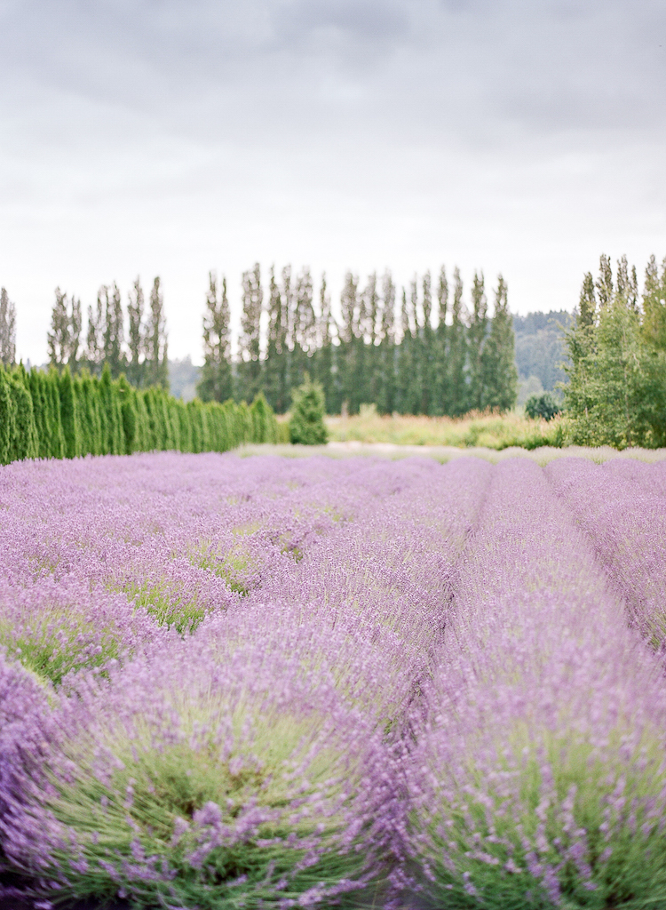 Elegant Lavender Wedding Theme with Organic Fall Accents