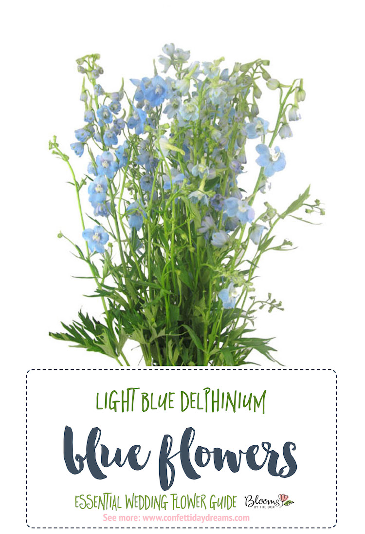 Essential Blue Wedding Flowers Guide: Types, Names, Seasons + Pics