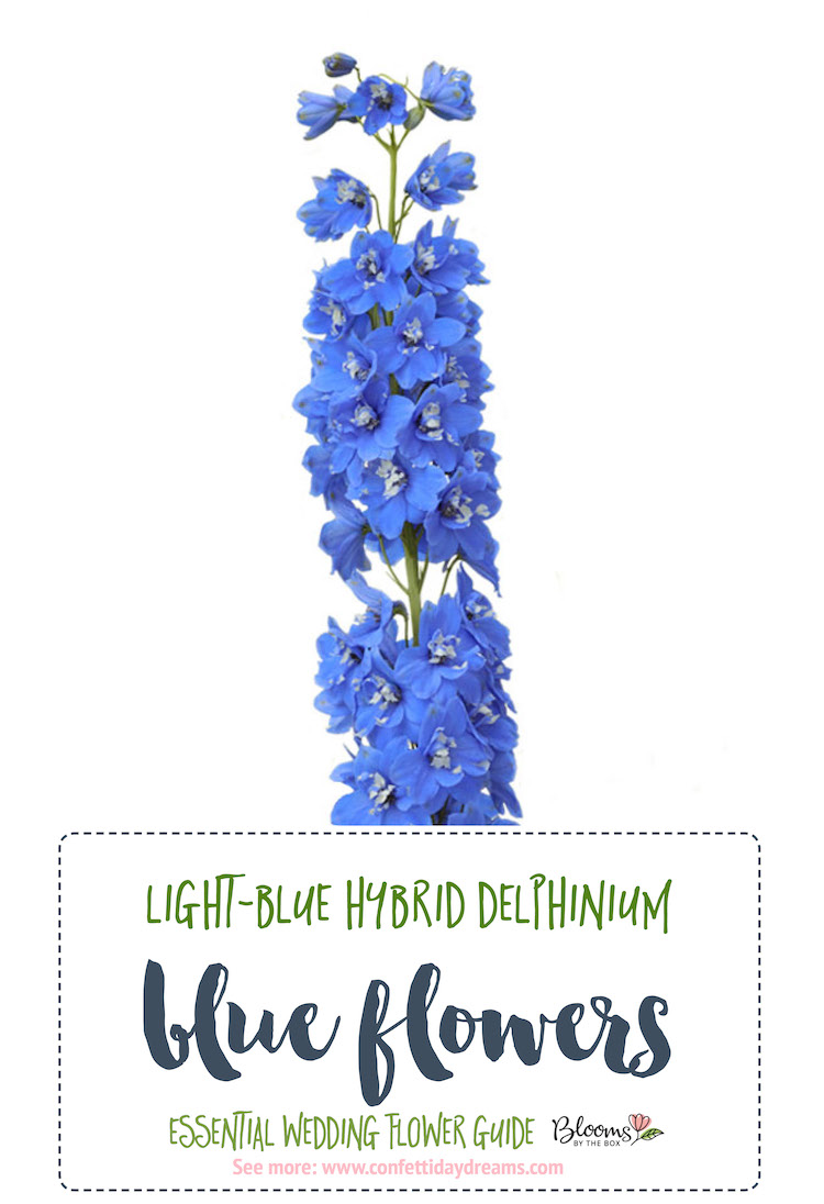 Essential Blue Wedding Flowers Guide: Types, Names, Seasons + Pics
