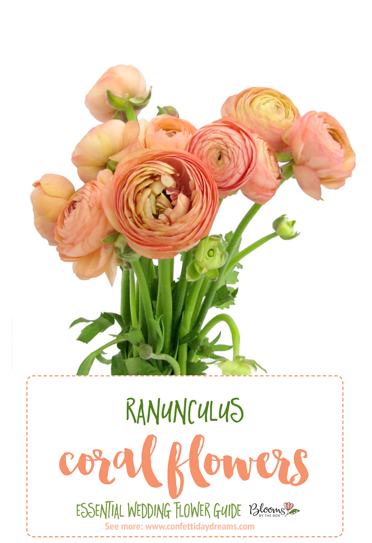 The Essential Coral Wedding Flowers Guide: Types of Peach Flowers ...