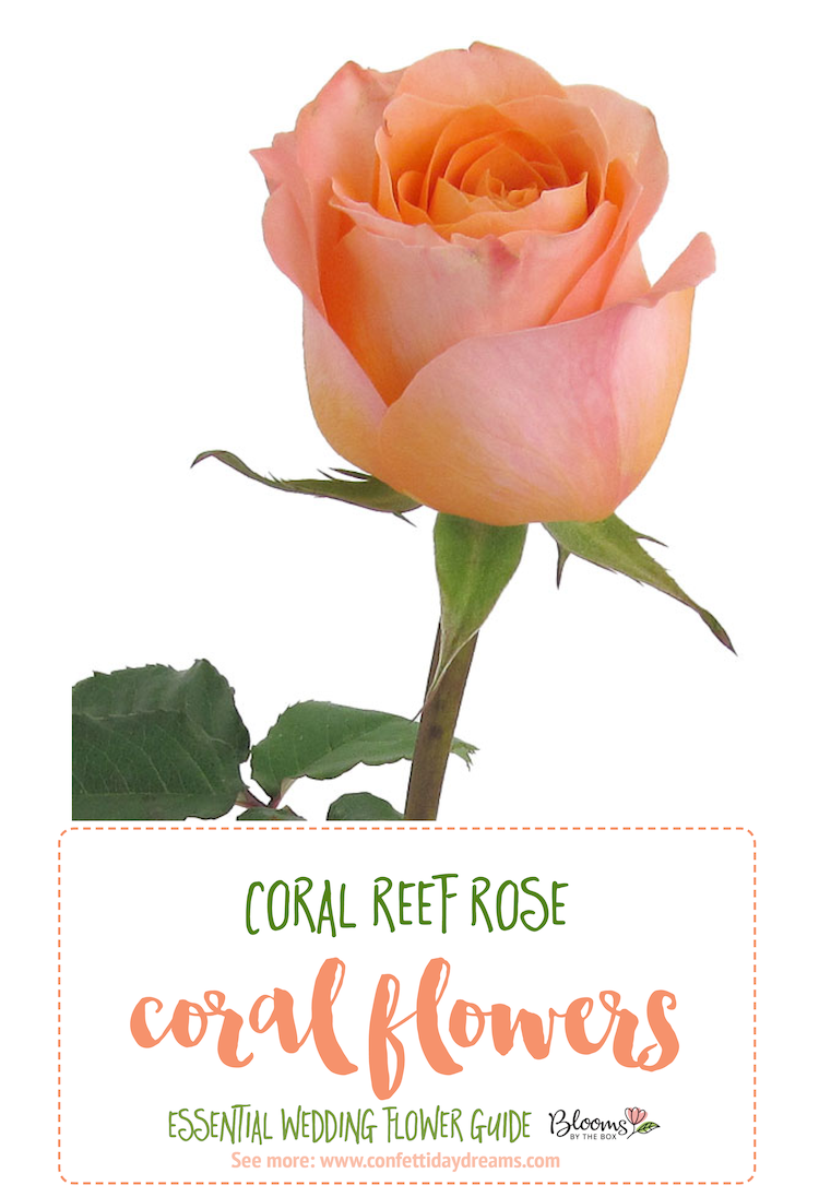 The Essential Coral Wedding Flowers Guide: Types of Peach Flowers ...