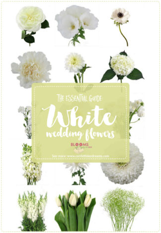 White Wedding Flowers Guide: Types of White Flowers, Names + Pics