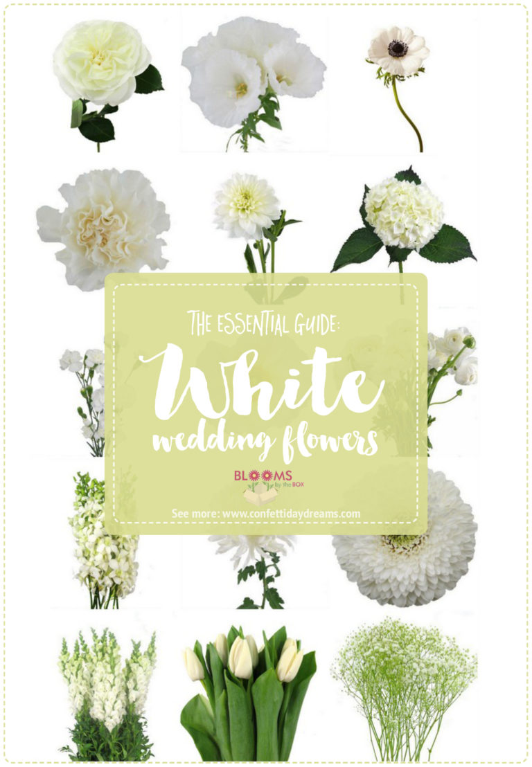 White Wedding Flowers Guide: Types of White Flowers, Names + Pics