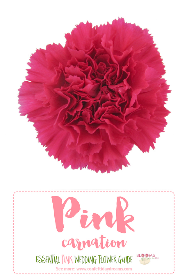 The Essential Pink Wedding Flowers Guide: Types of Pink Flowers, Names ...