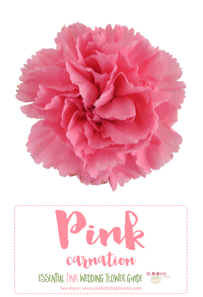The Essential Pink Wedding Flowers Guide: Types of Pink Flowers, Names ...
