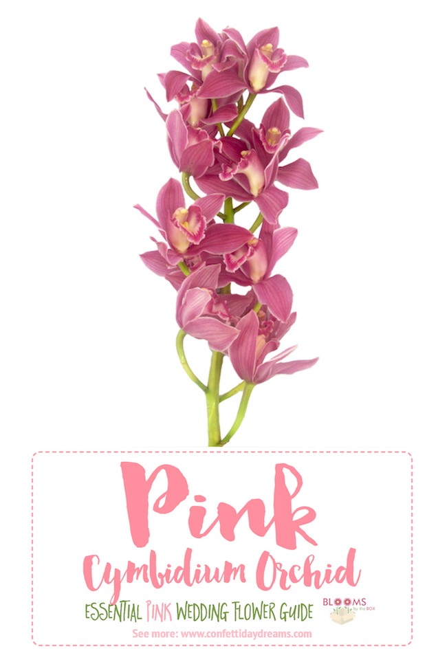 The Essential Pink Wedding Flowers Guide: Types of Pink Flowers, Names ...