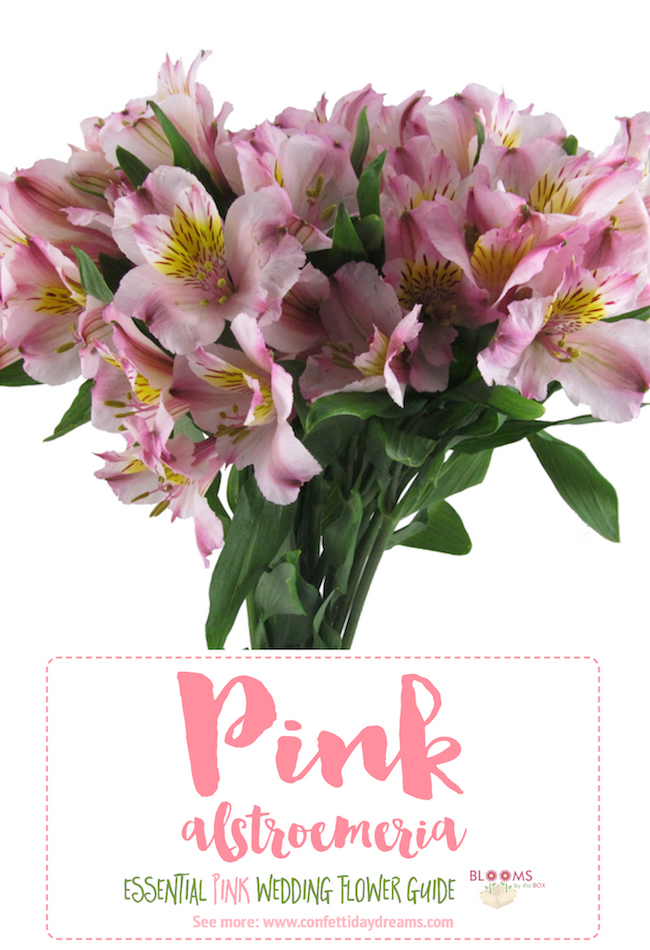 The Essential Pink Wedding Flowers Guide: Types of Pink Flowers, Names ...