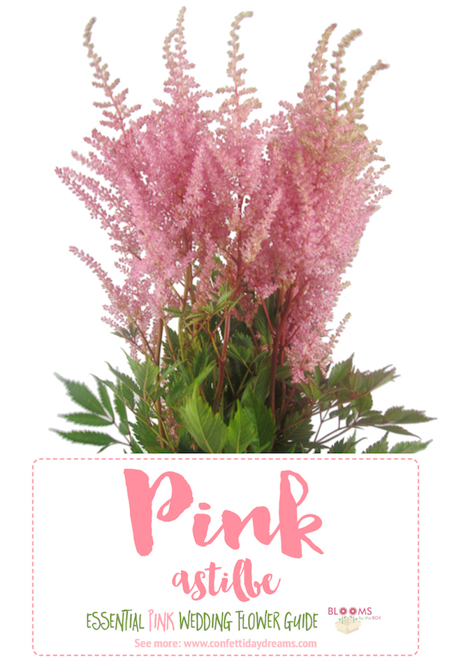 The Essential Pink Wedding Flowers Guide: Types of Pink Flowers, Names ...