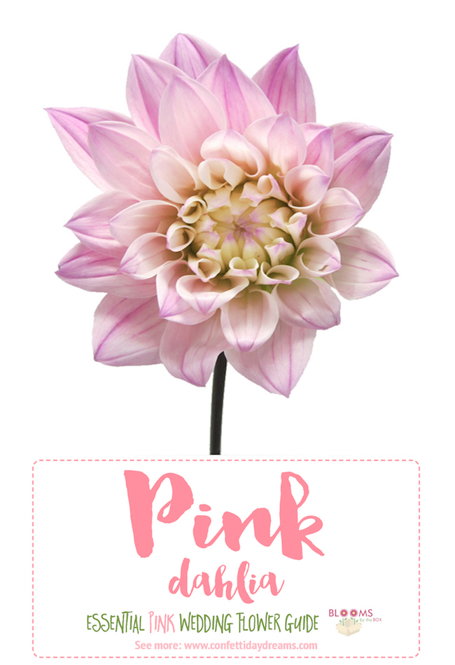 The Essential Pink Wedding Flowers Guide: Types of Pink Flowers, Names ...