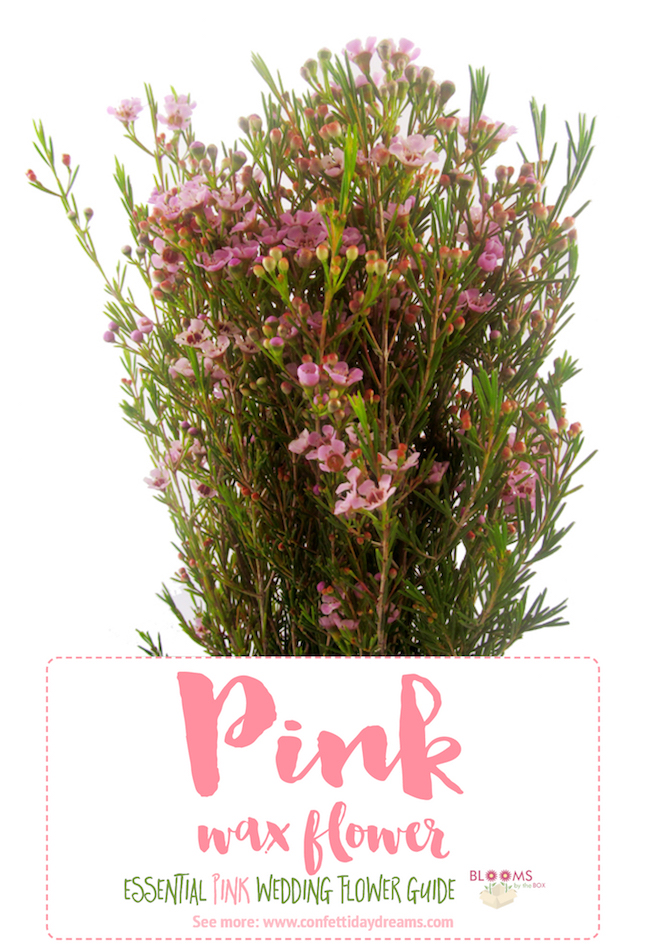 The Essential Pink Wedding Flowers Guide: Types of Pink Flowers, Names ...