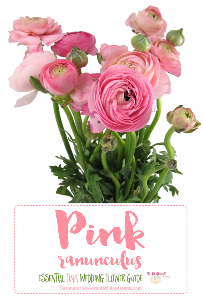The Essential Pink Wedding Flowers Guide: Types of Pink Flowers, Names ...